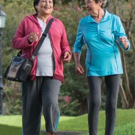 Lifechoice ActivOx Pro 4L Portable Travel Oxygen Concentrator - CPAP ...